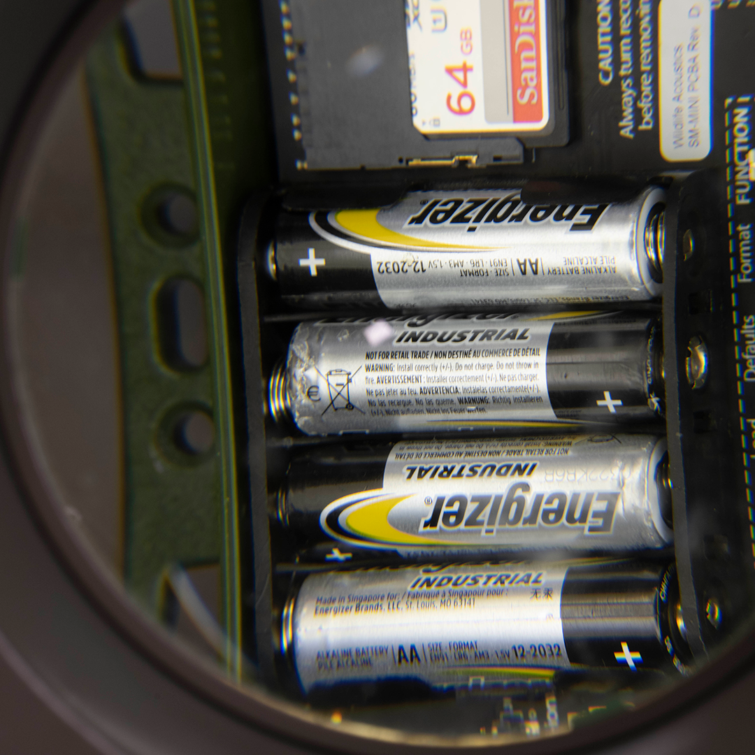 New Song Meter Mini & Micro Acoustic Recorders