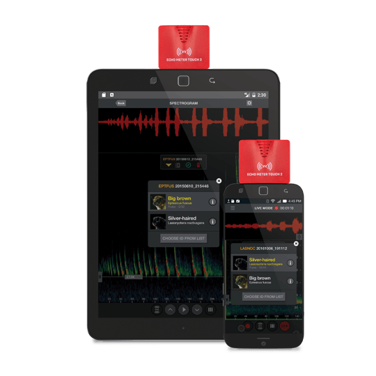 Ultrasonic Bat Detectors | Wildlife Acoustics