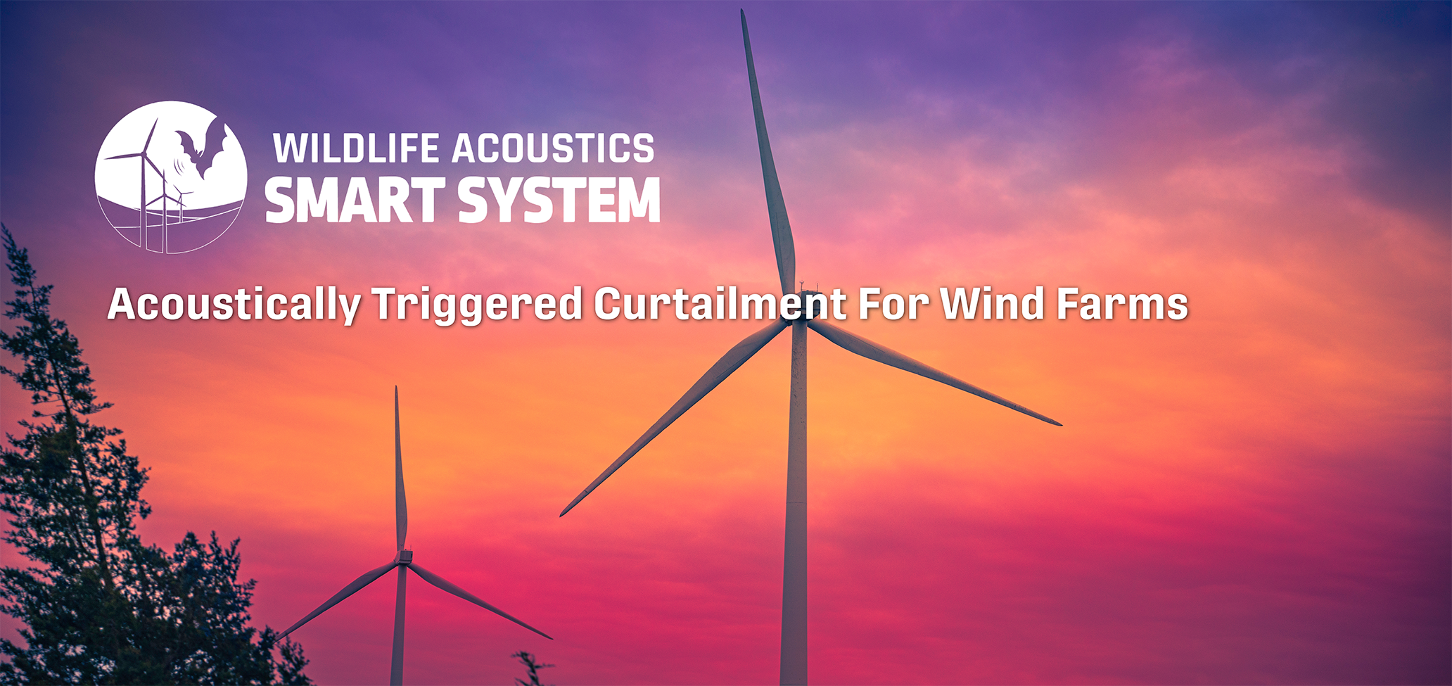 SMART for Remote Monitoring | Wildlife Acoustics