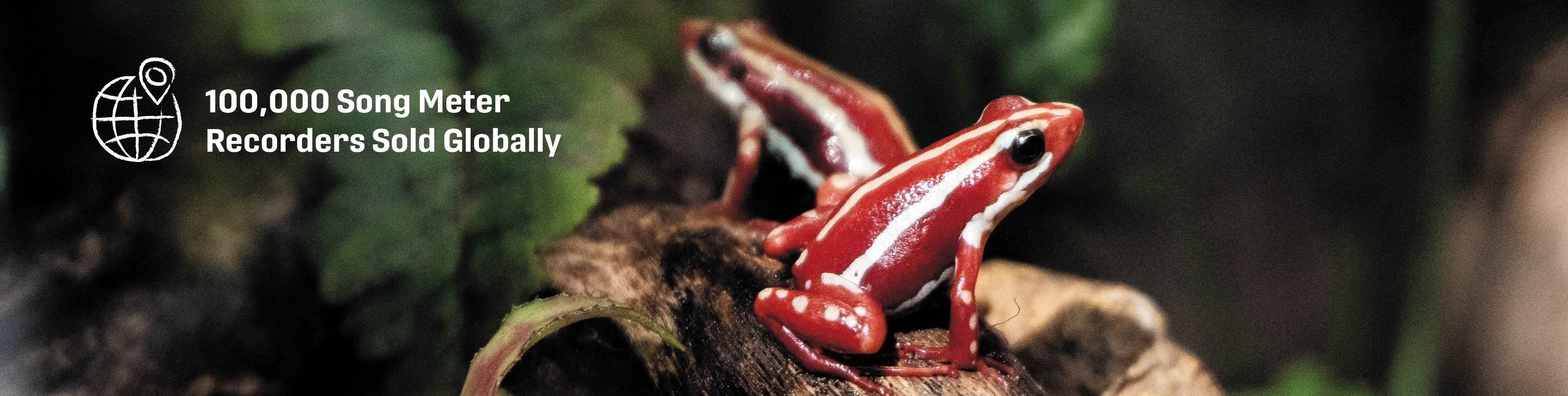 Song Meter Bird Call Recorders | Wildlife Acoustics