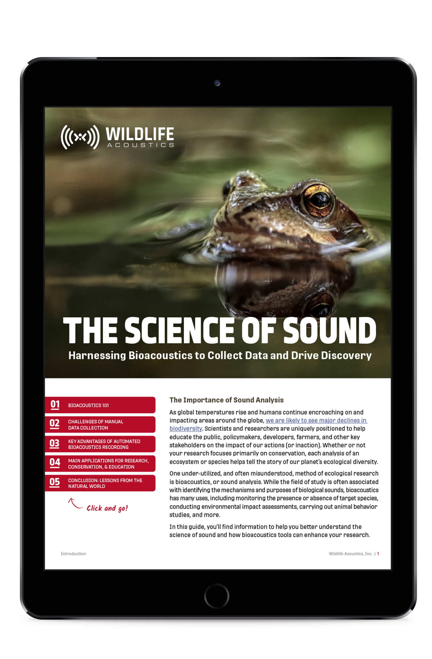 Science of Sound Guide | Wildlife Acoustics