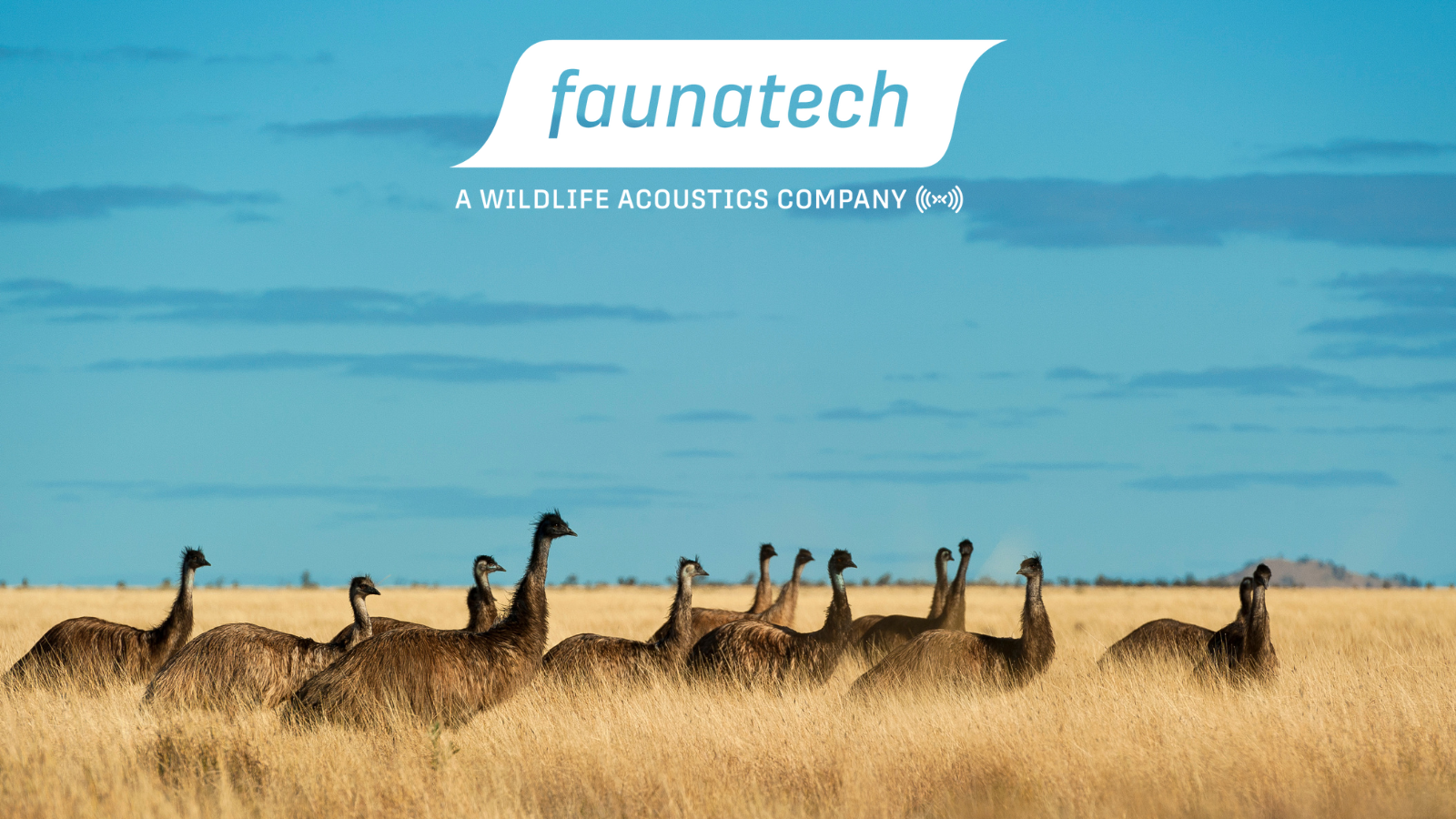 Welcome to Faunatech